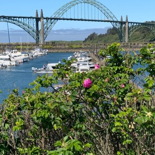 Port of Newport RV Park - Newport, Oregon - RV LIFE Campground Reviews